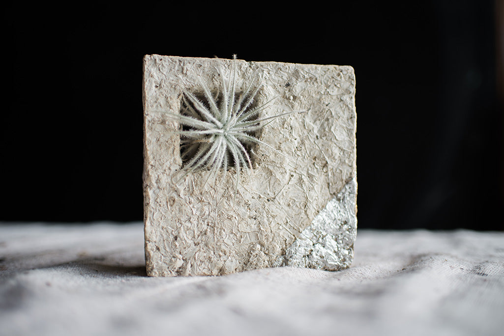 Shop Our Lightweight Handcrafted Pozzola Pottery – ShopUrbanFarmgirlsCo